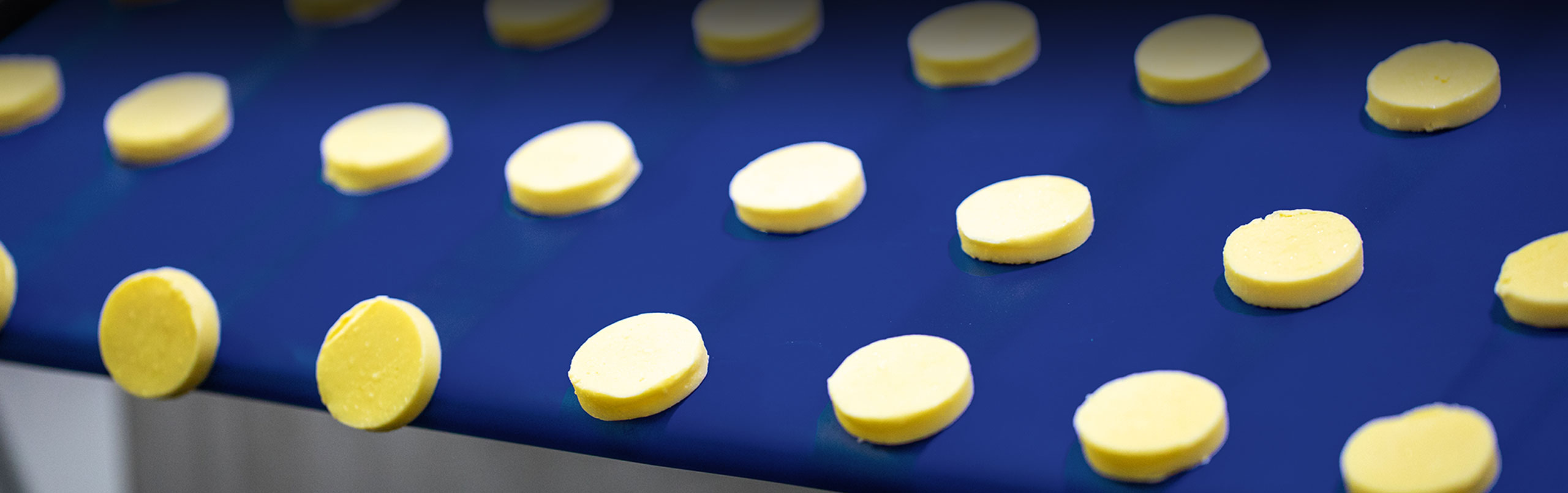 Frozen Extruded Products – Mitani Group